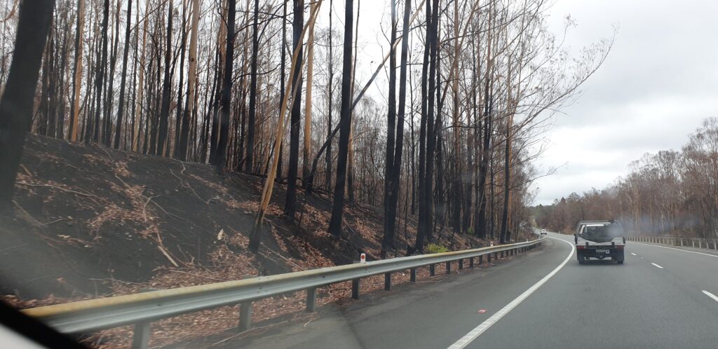 Home - Kintsugi Heroes